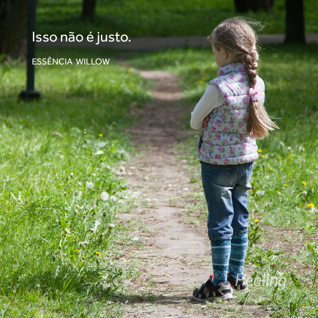 Willow - Floral de Bach Healingherbs: mágoa e ressentimento - 10ml ...